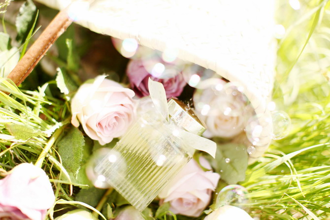 The cherry blossom girlL’eau de ChloÃ©